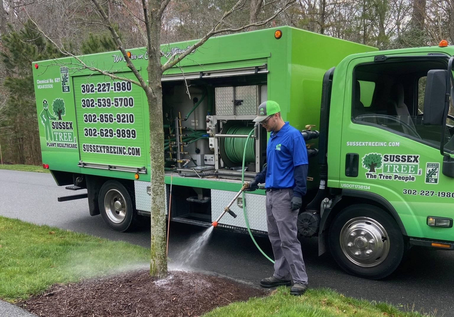 Sussex Tree Inc | Delaware Tree Removal, Landscaping, Tree Care