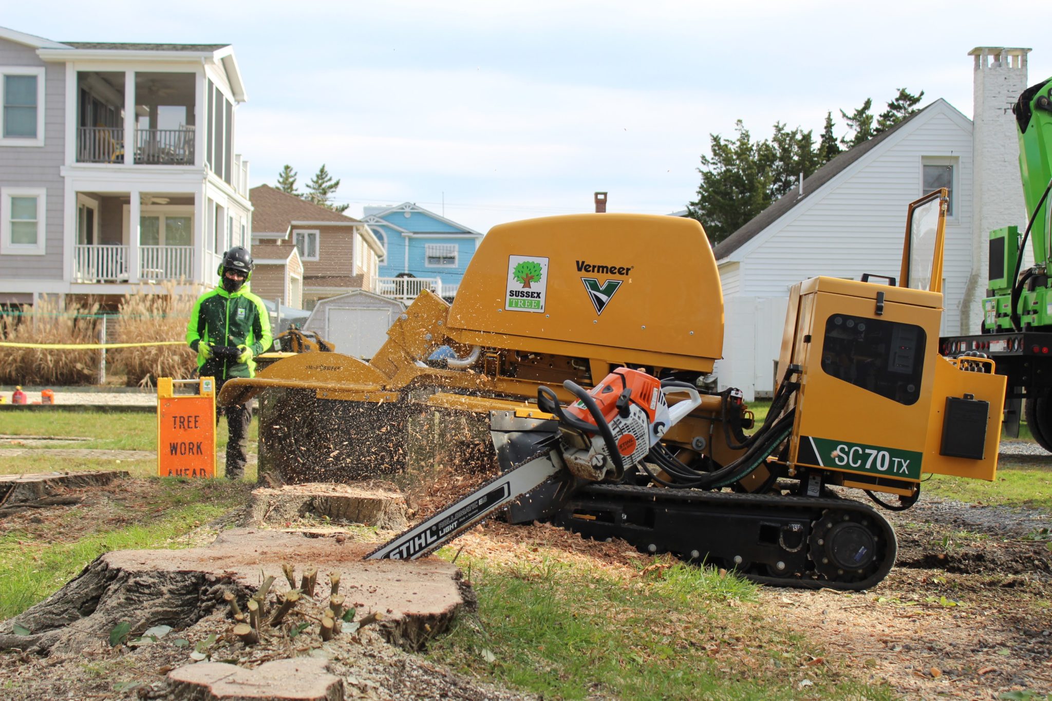 Tree Service Promotions | Sussex Tree Discounts | Delaware