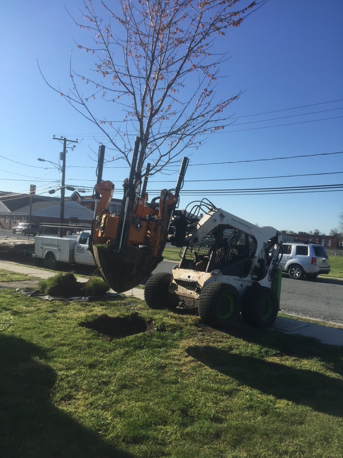 Landscaping in Delaware | Sussex Tree Inc. Services & Tree Care